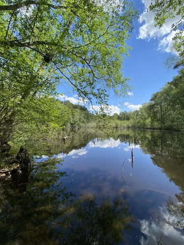 10 Best Trails, Walks, and Paths in Guildford | AllTrails