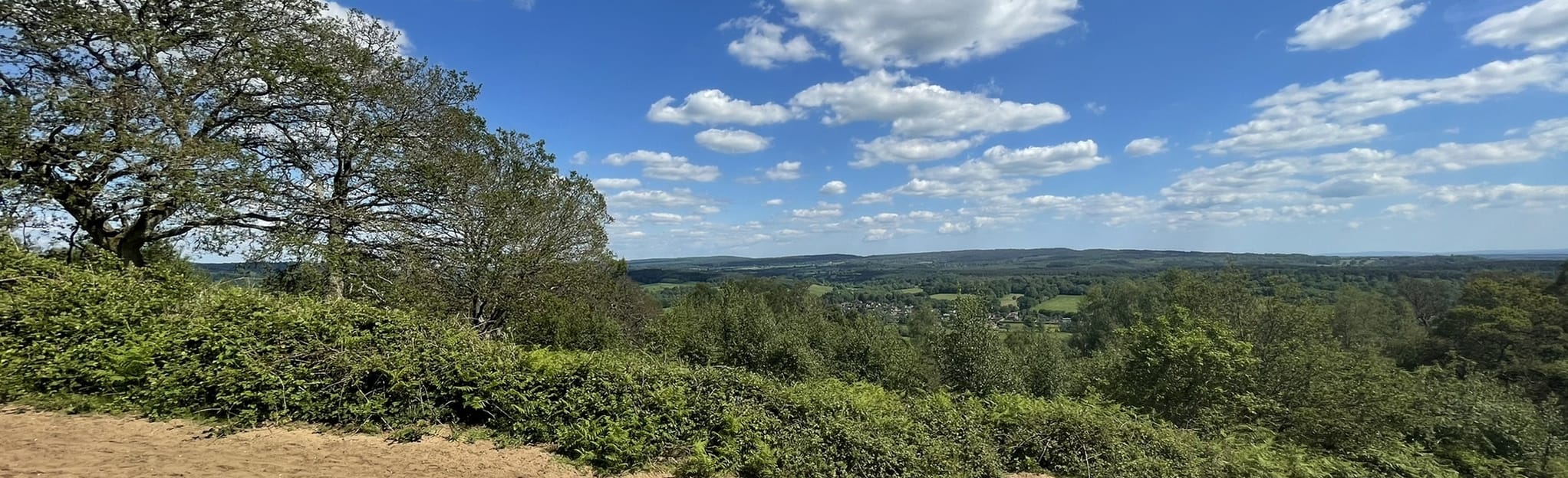 Newlands Circular, Surrey, England - 20 Reviews, Map | AllTrails