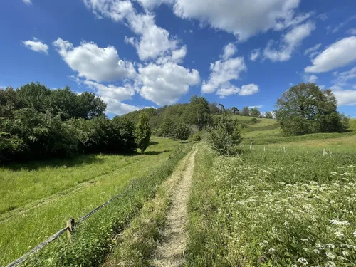 10 Best Hikes and Trails in Surrey Hills National Landscape (AONB ...