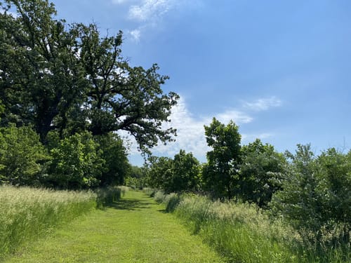 Best Hikes and Trails in Weldon Springs State Park | AllTrails