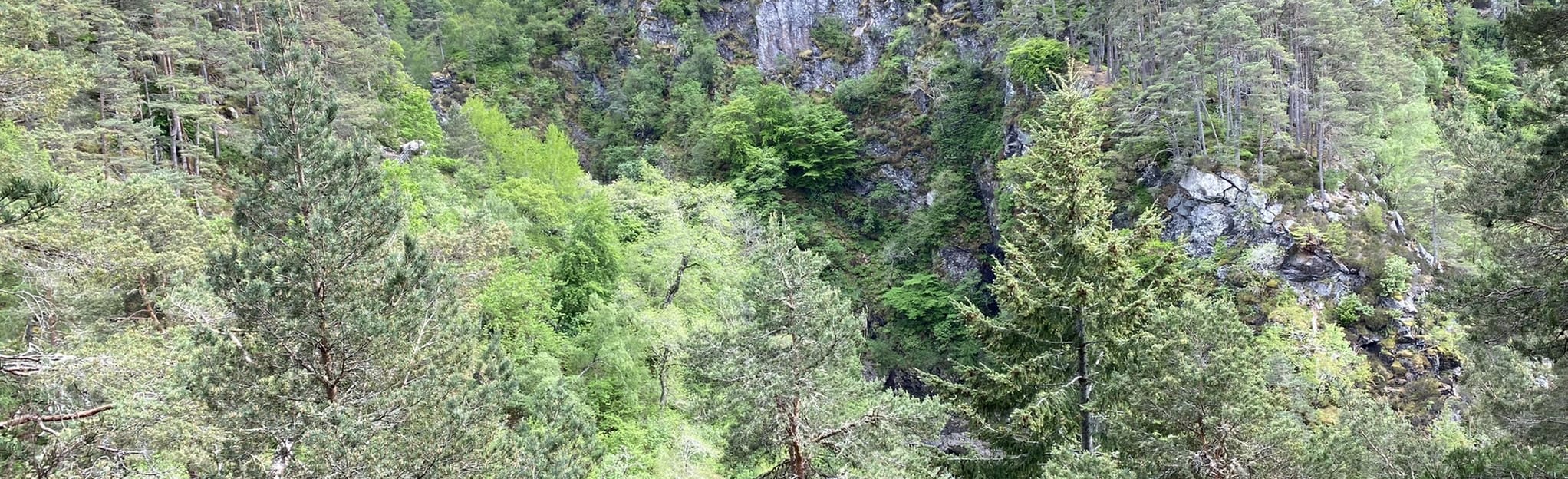 Falls of Foyers Circular, Highlands, Scotland - 75 Reviews, Map | AllTrails