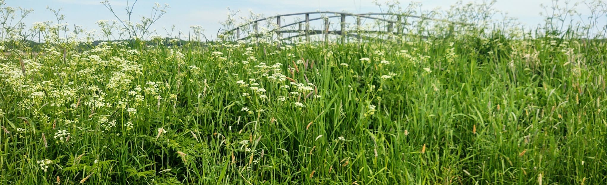 Uldum Kær: 44 foto's - Central Denmark, Denmark | AllTrails