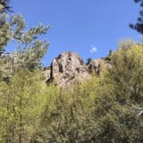 Pine Creek (Alta Toquima Wilderness), Nevada - 15 Reviews, Map | AllTrails