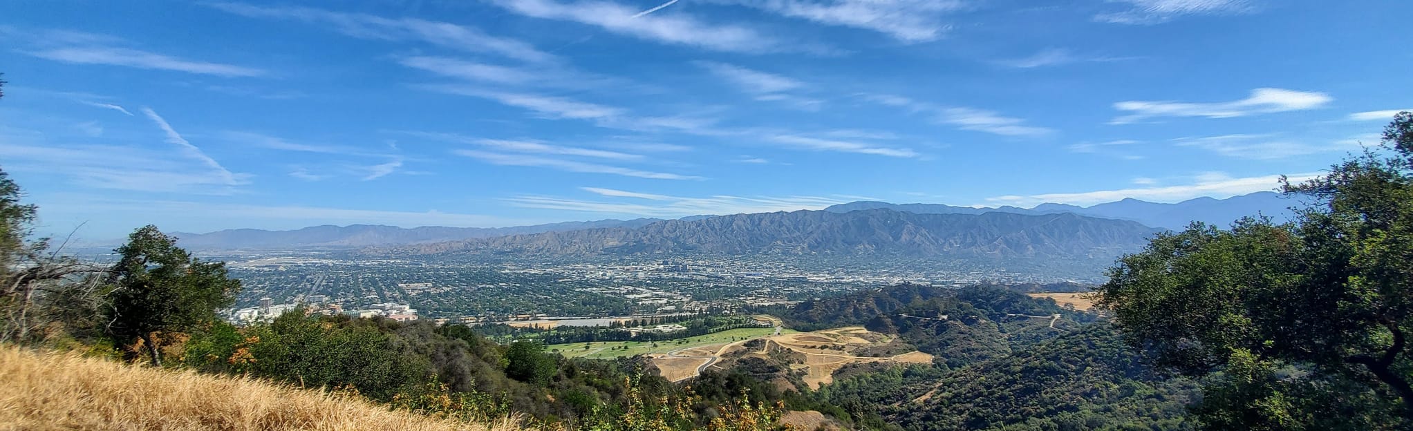 Hollywood Sign and The Wisdom Tree: 7,695 fotos - California | AllTrails