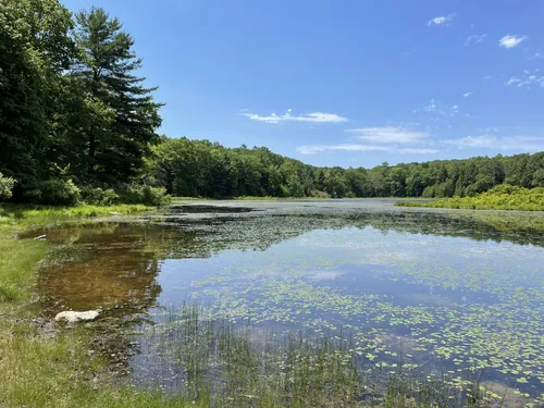 Best Waterfall Trails in Stokes State Forest | AllTrails
