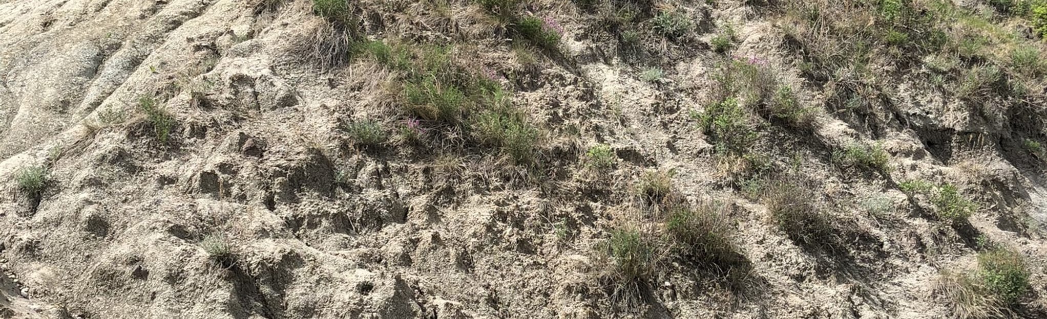 Devon Golf Course and Battery Creek Ravine Loop, Alberta, Canada - 53 ...