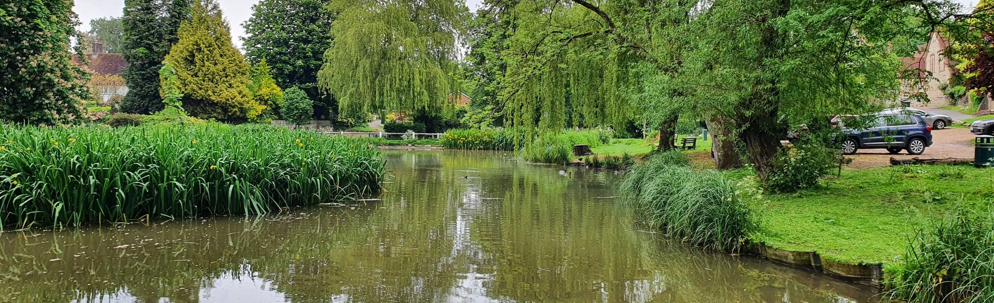 South Downs Way: Buriton to Cocking: 70 Reviews, Map - Hampshire ...