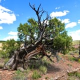 Johnny Behind the Rocks Trail, Wyoming - 106 Reviews, Map | AllTrails