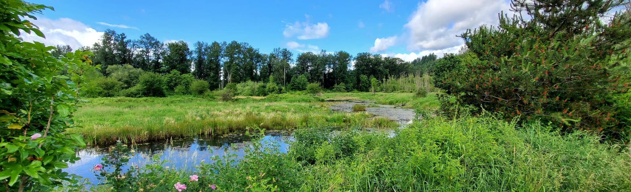 Stillwater to Tolt Bridge via Snoqualmie Valley Trail - Washington ...