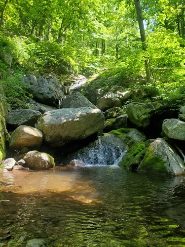 Best Hikes and Trails in Wintergreen Resort | AllTrails