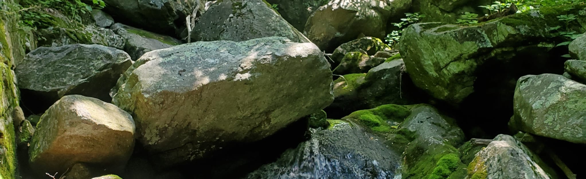 Mau-Har Trail from Love Gap: 98 Reviews, Map - Virginia | AllTrails