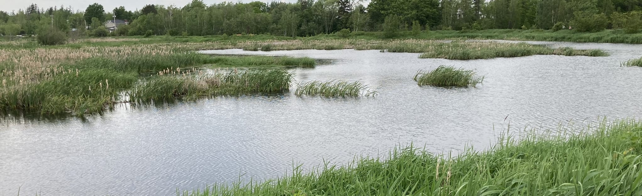 Salisbury Loop, New Brunswick, Canada - 97 Reviews, Map | AllTrails