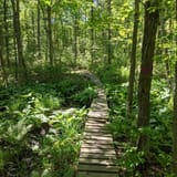Levis/Trow Mounds Trail, Wisconsin - 264 Reviews, Map | AllTrails
