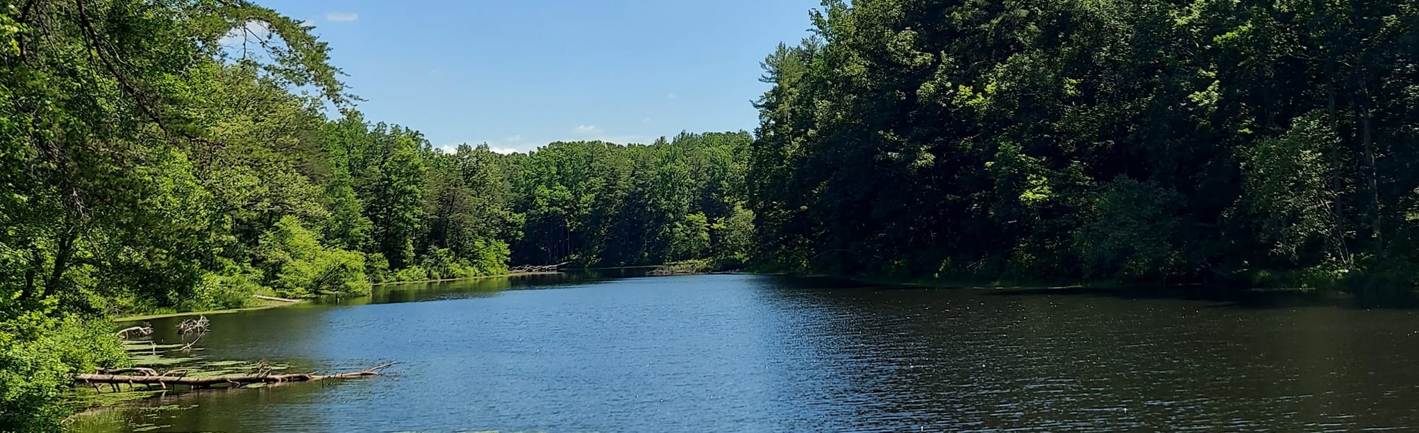 Cumberland State Forest Multiuse Trail, Virginia - 40 Reviews, Map ...