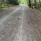 Galloping Goose Regional Trail, British Columbia, Canada - 355 Reviews ...