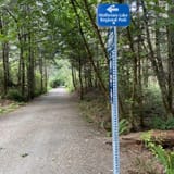 Galloping Goose Regional Trail, British Columbia, Canada - 355 Reviews ...