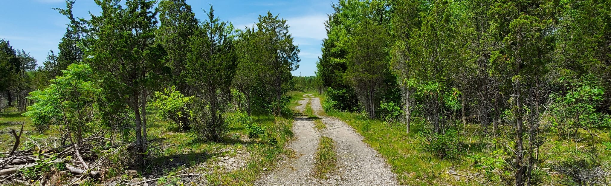 Kelleys Island Interpretive Nature Path: 19 Reviews, Map - Ohio | AllTrails