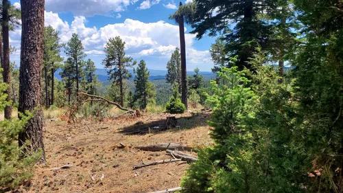 10 Best Trails and Hikes in Ruidoso | AllTrails