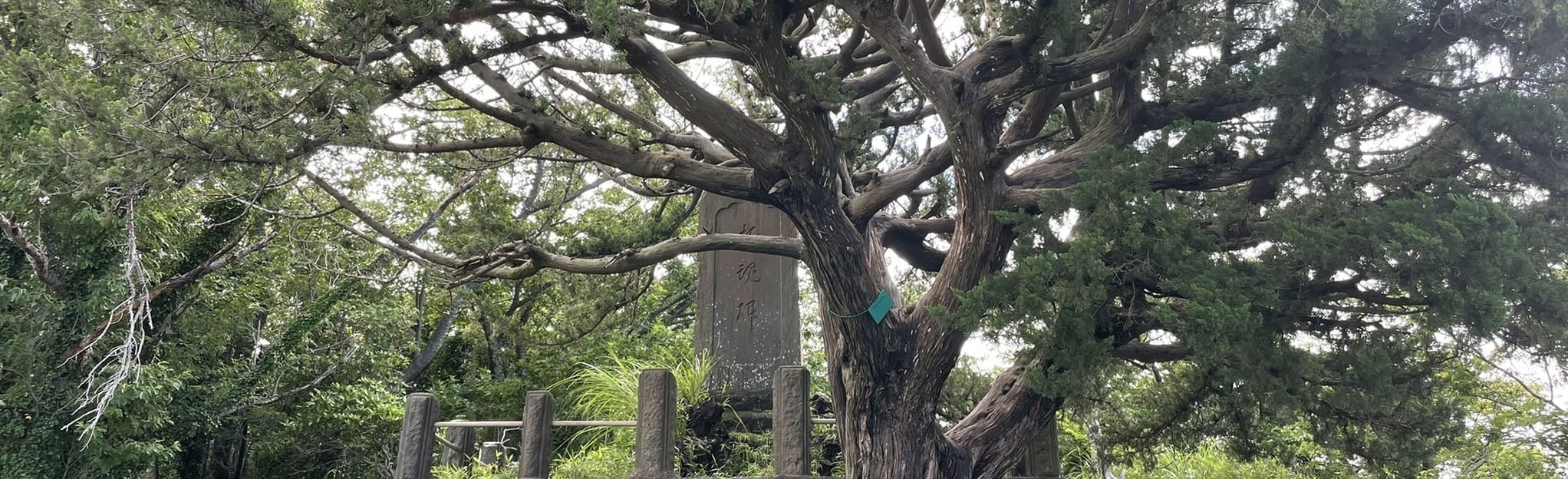 Mount Sengen - Morito Daimyojin Shrine Loop: 2 Reviews, Map - Kanagawa ...