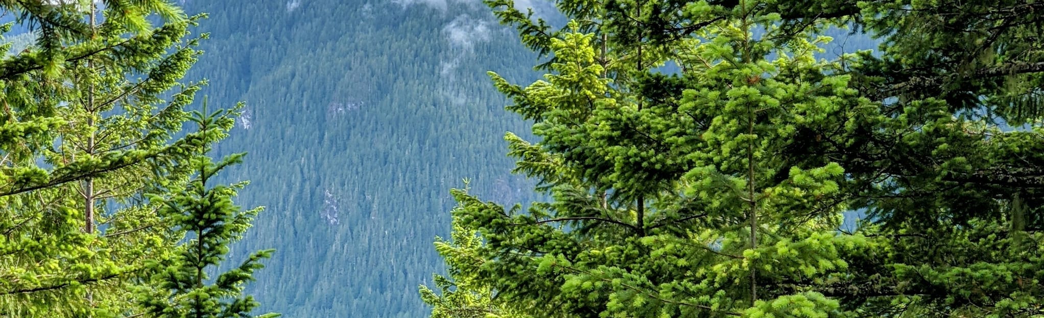 Levette Lake Loop, British Columbia, Canada - 26 Reviews, Map | AllTrails