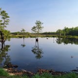 Grassy Waters Preserve: Owahee Trail, Florida - 133 Reviews, Map ...