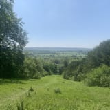 Gomshall Mill and Netley Park Circular, Surrey, England - 219 Reviews ...