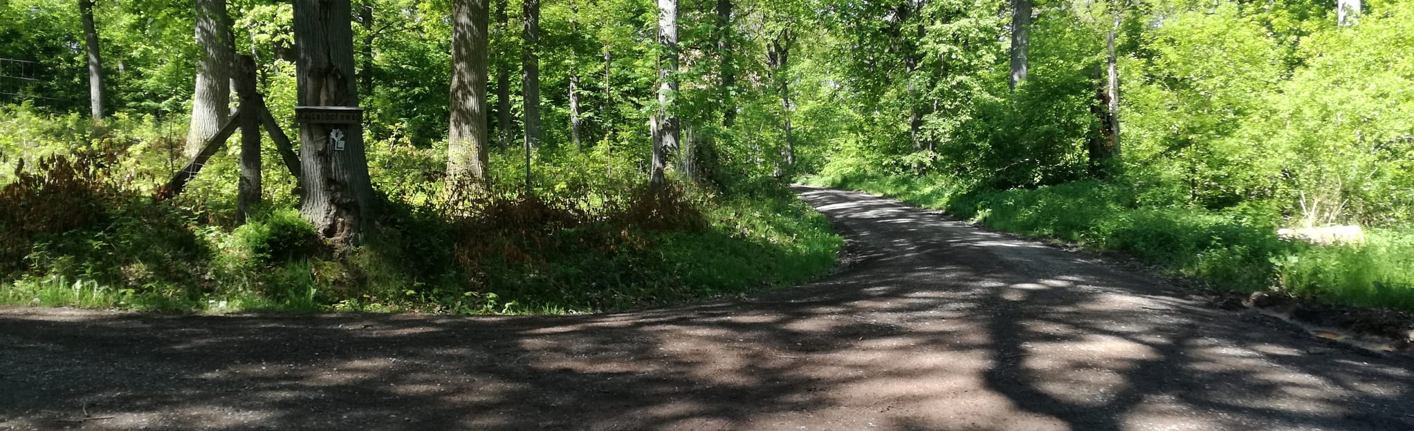 Rund um Lauenberg, Lower Saxony, Germany - 2 Reviews, Map | AllTrails