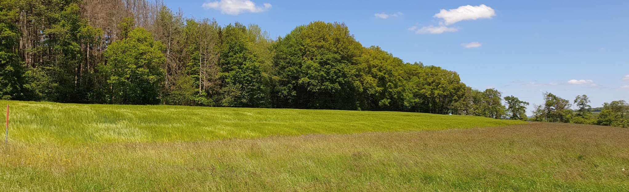 Auto-Pédestre Reisdorf: 10 Reviews, Map - Diekirch, Luxembourg | AllTrails