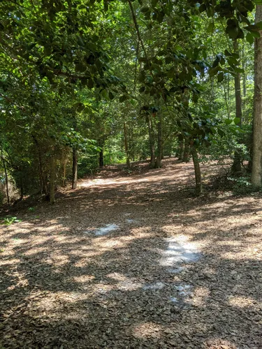 Best Hikes and Trails in Schumaker Park | AllTrails