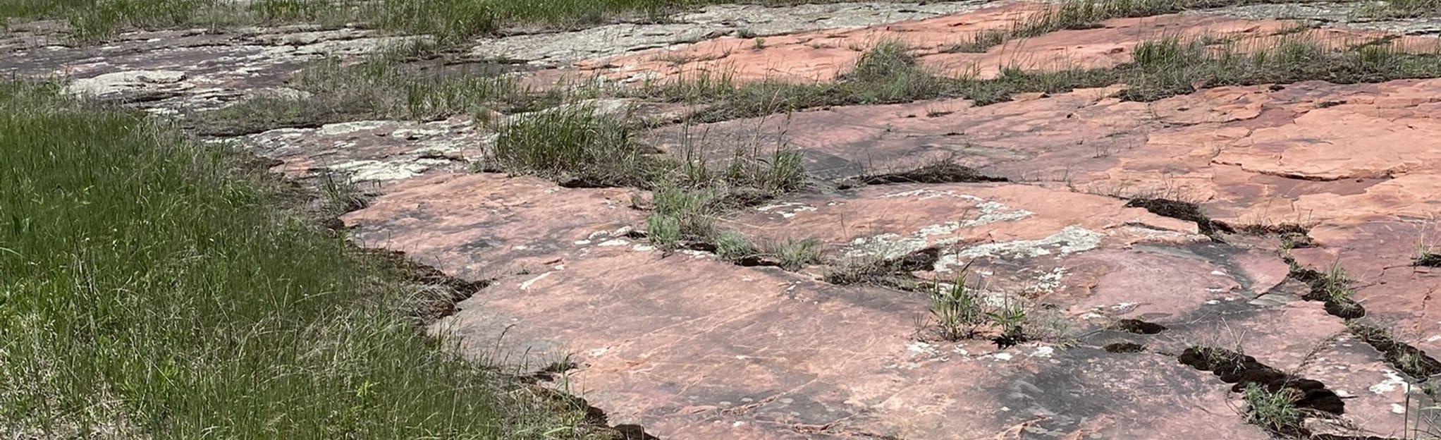 Jeffers Petroglyphs Loop, Minnesota - 10 Reviews, Map | AllTrails