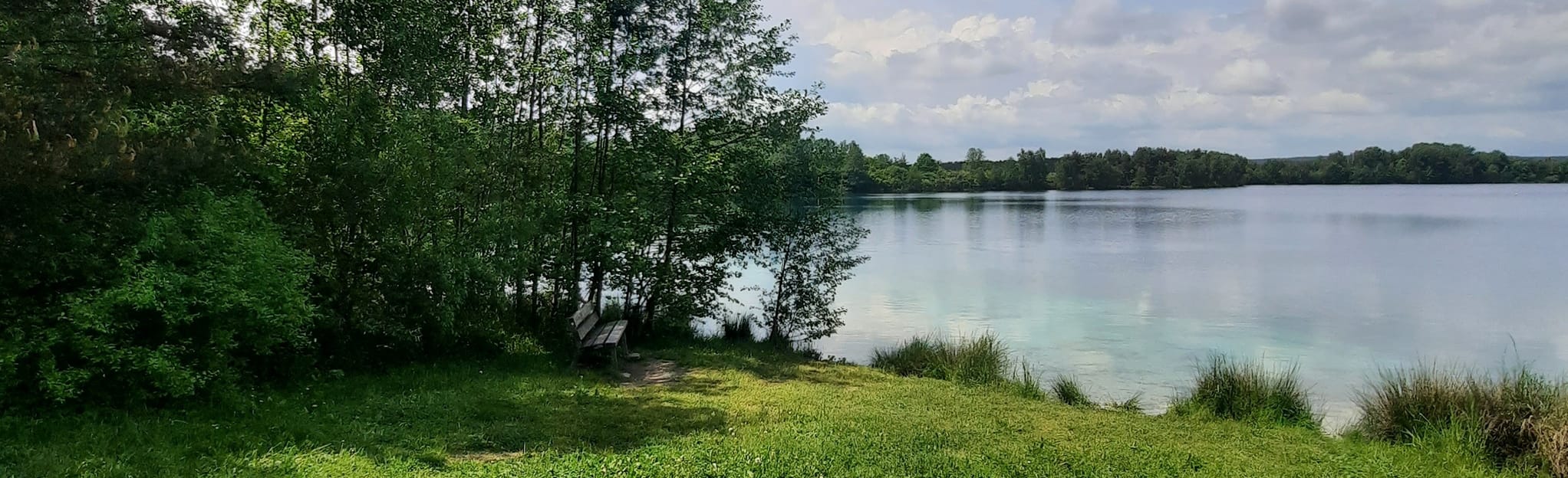 Murner See Path, Bavaria, Germany - 27 Reviews, Map | AllTrails