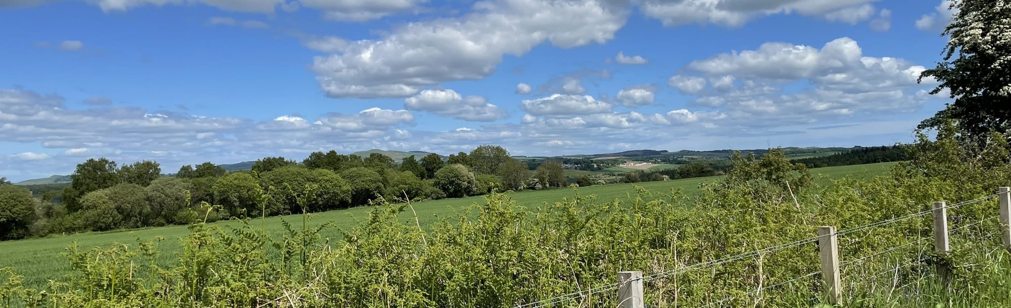 Valleyfield and Balgownie Woods Way: 45 Reviews, Map - Fife, Scotland ...