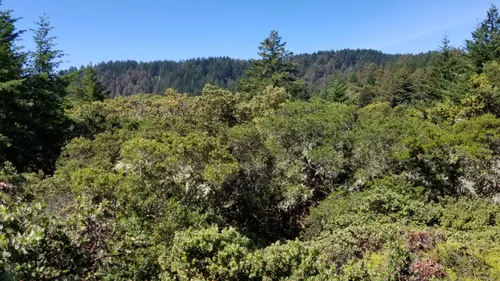 10 Best Trails and Hikes in Woodside | AllTrails