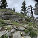 Tronsen Ridge Trail, Washington - 123 Reviews, Map | AllTrails