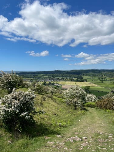 2023 Best 10 Walking Trails in Grange-over-Sands | AllTrails