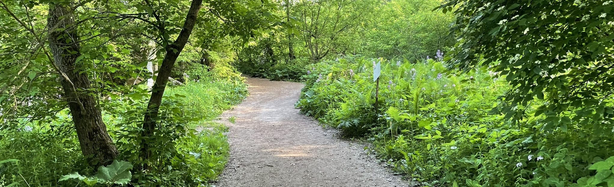 Mast Trail (Short Loop), Ontario, Canada - 455 Reviews, Map | AllTrails