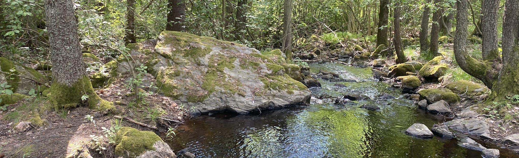 Hemlingby Track: 30 fotos - Gävleborg, Suécia | AllTrails