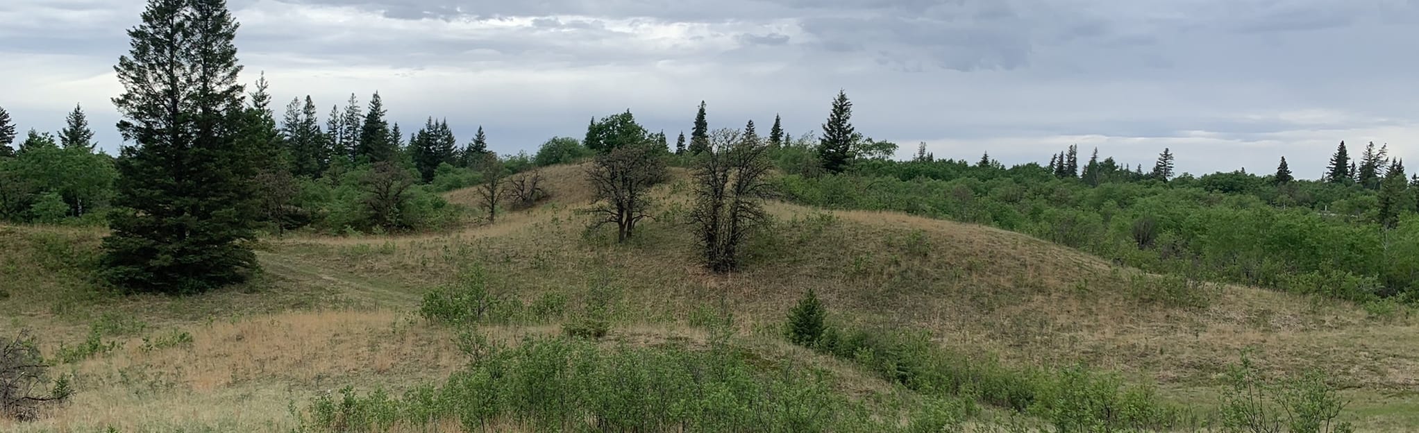 Seton Trails: Chaska and Snowy Owl Loop : 13 Photos - Manitoba, Canada ...