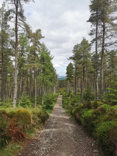 10 Best Trails and Hikes in Inverness | AllTrails
