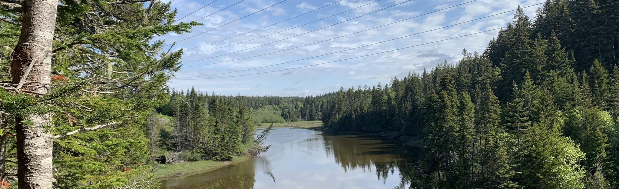 Cheeseman Beach via Black Beach and Lorneville Link Trail: 245 fotos ...