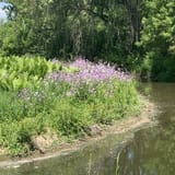 Toogood Pond Loop, Ontario, Canada - 532 Reviews, Map | AllTrails