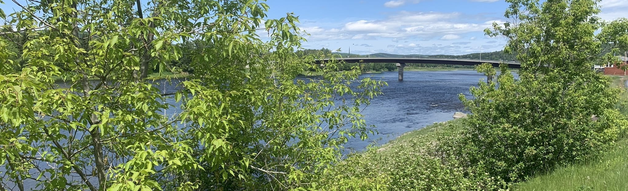 Levee Trail and St-John Valley Heritage Trail Loop, Maine - 19 Reviews ...