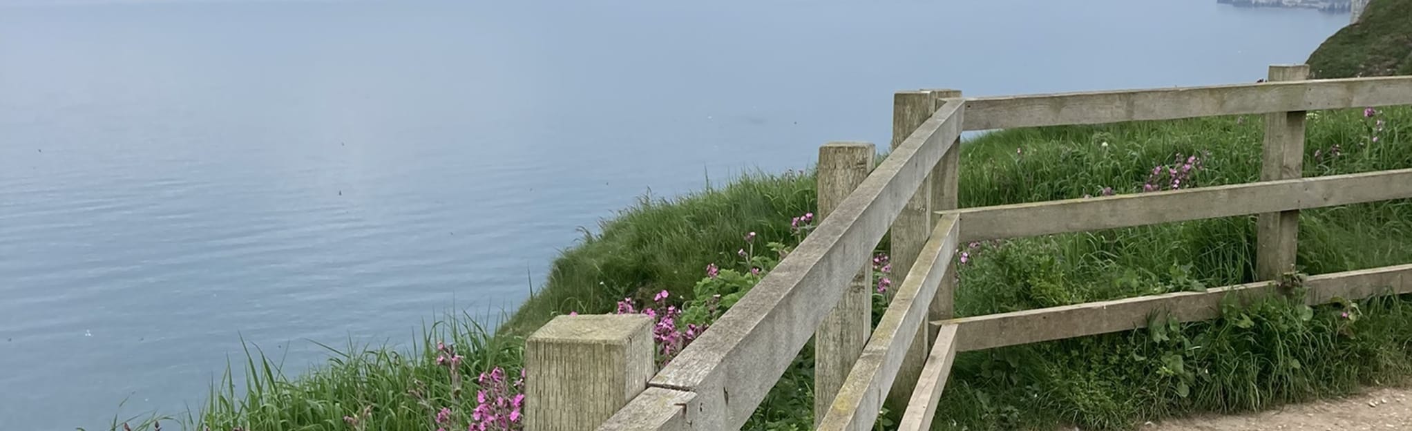 Bempton Cliffs Circular, East Riding of Yorkshire, England - 43 Reviews ...