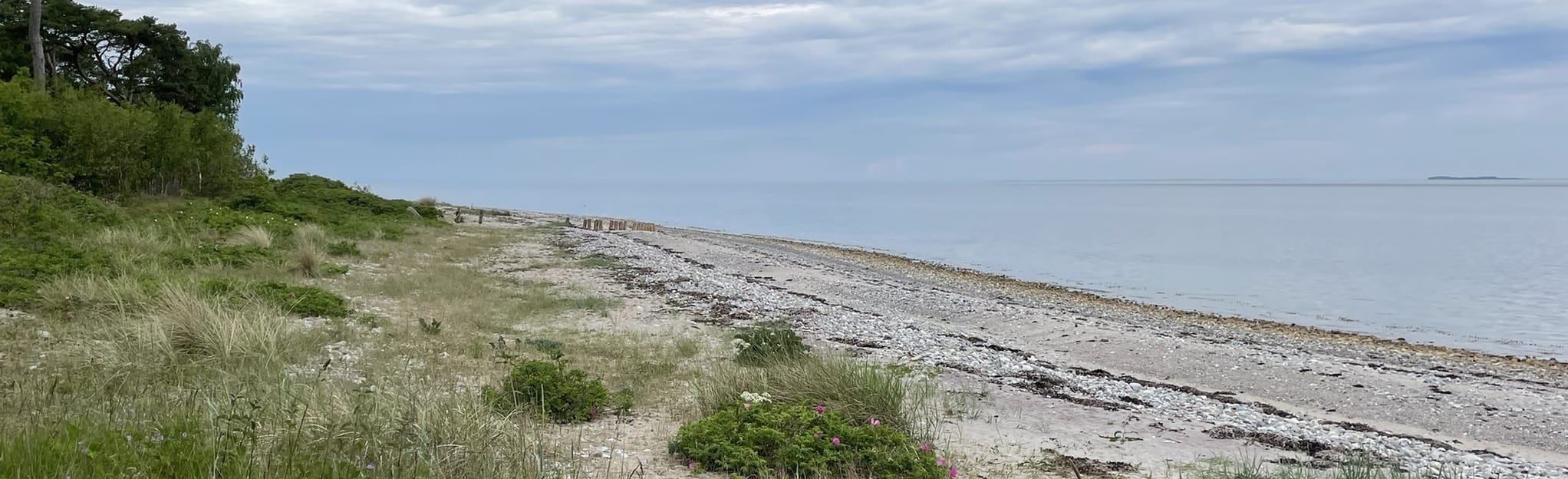 Nordfyn - Enebær Odde: 261 bilder – Region Syddanmark, Danmark | AllTrails