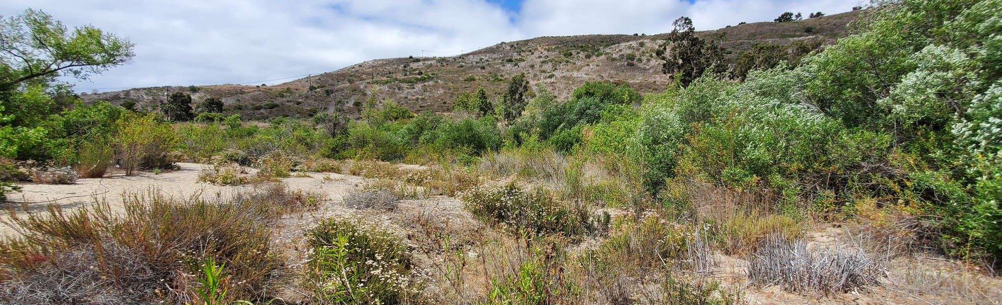 Oso Creek Loop via Oso Rancho Capistrano Trail, California - 57 Reviews ...