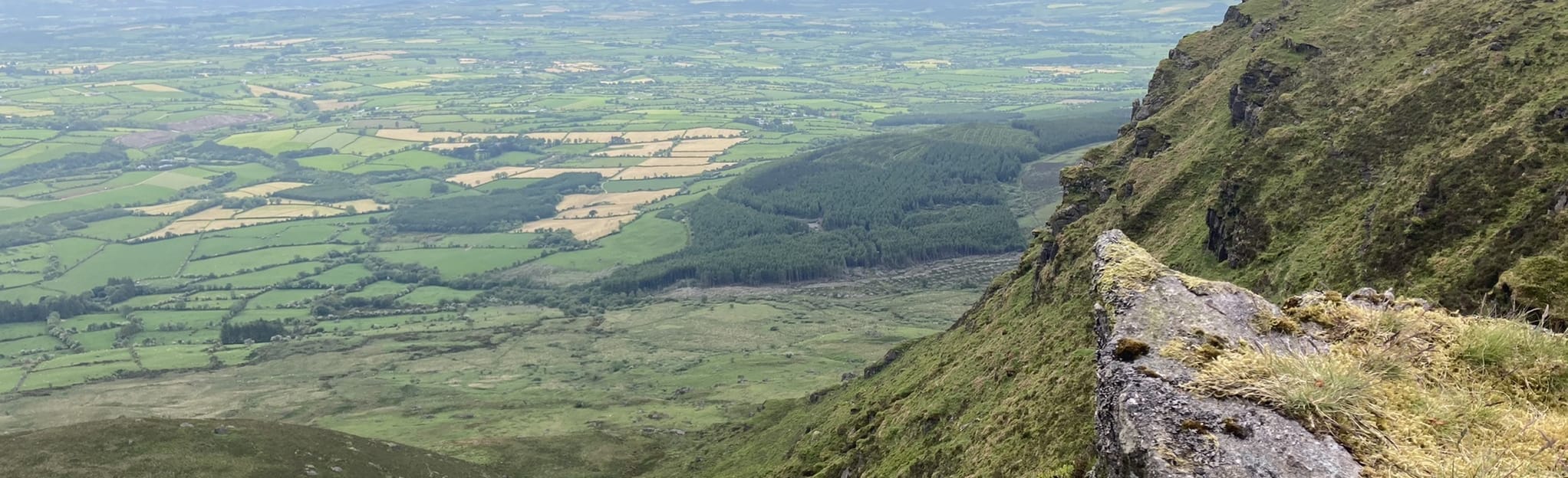 Nire Valley Trails - Coumduala Loop: 54 Reviews, Map - County Waterford ...