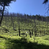 Grandjean Sawtooth Lake Loop, Idaho - 130 Reviews, Map | AllTrails