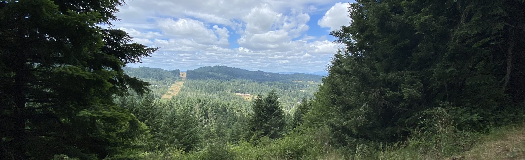 Mount Baldy via Dillard Skyline Loop | Map, Guide - Oregon | AllTrails
