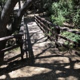 Conejo Valley Botanic Garden, California - 317 Reviews, Map | AllTrails