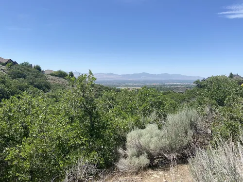 10 Best Hikes and Trails in Corner Canyon Regional Park | AllTrails